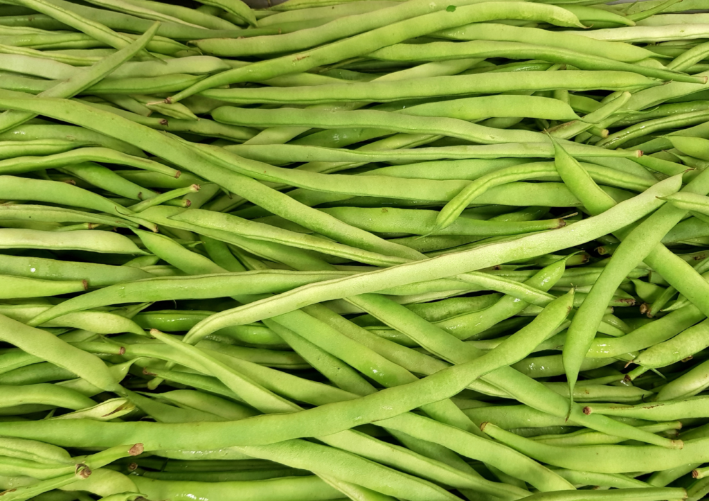 FEIJÃO-VAGEM - Grupo Agro Aparecida